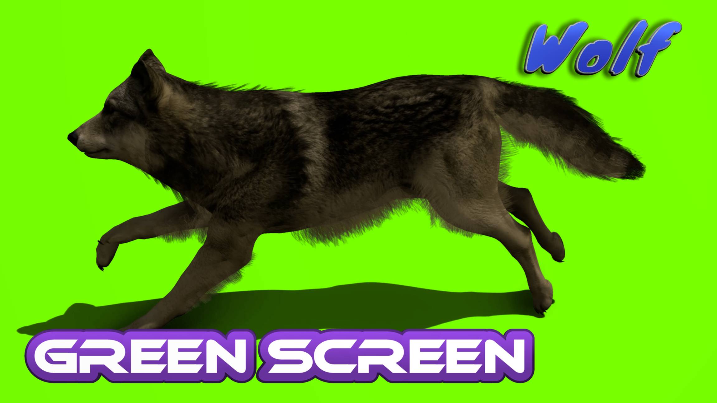 Green Screen - Волк (Wolf) - Free Download