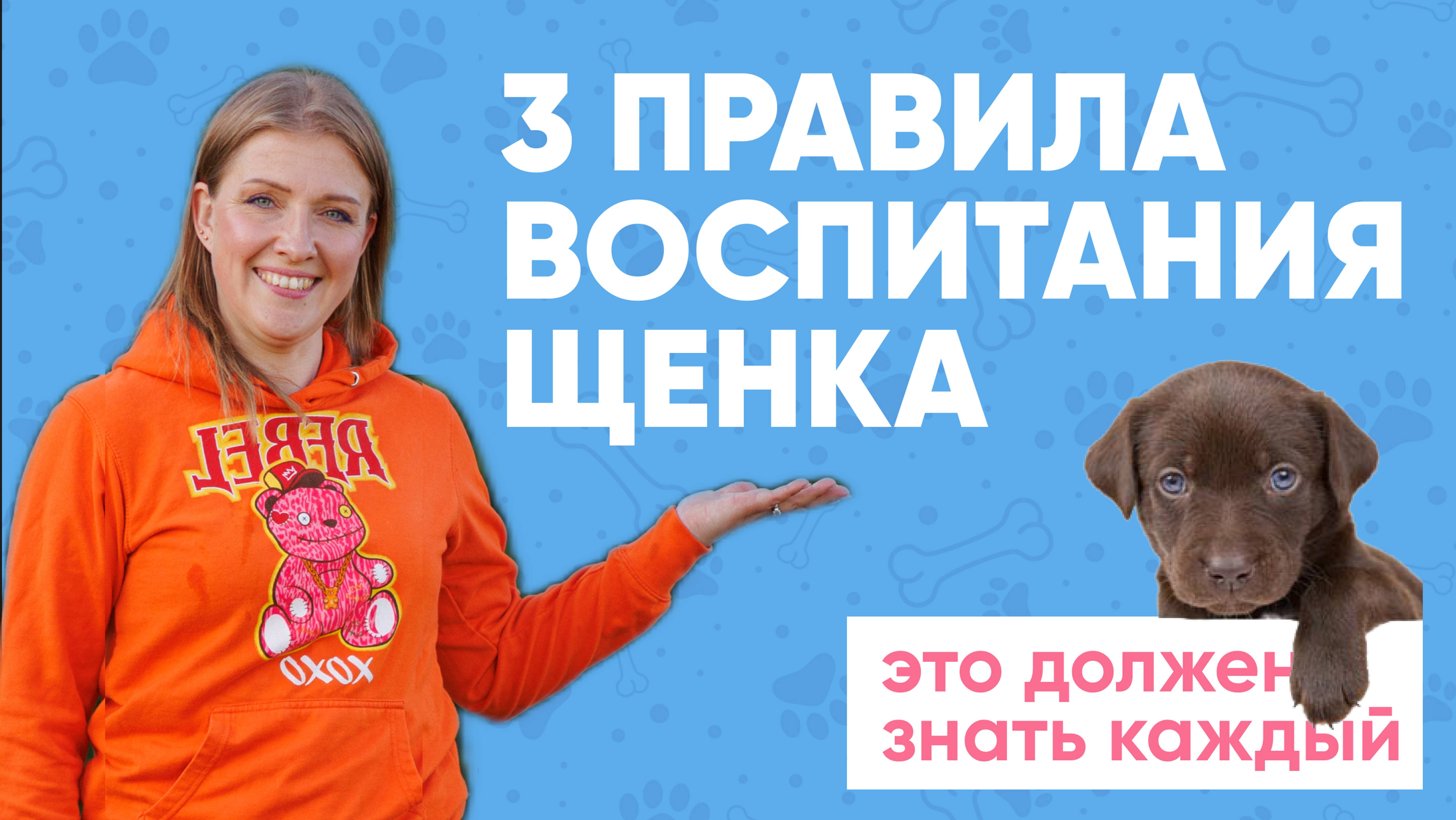 С чего начать воспитание щенка?🐶 3 ОБЯЗАТЕЛЬНЫХ ПРАВИЛА, которые должен знать КАЖДЫЙ☝🏻