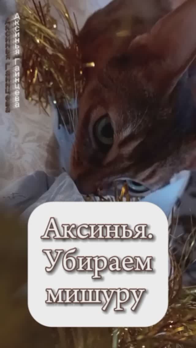 Аксинья.Убираем мишуру.