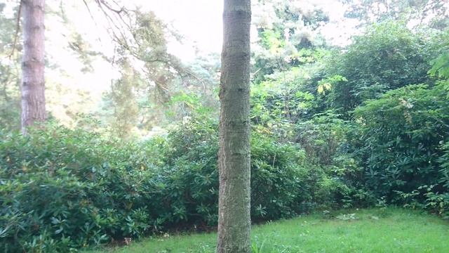 Мемориальный парк Марселисборг, Орхус, Дания. 28 октября 2022