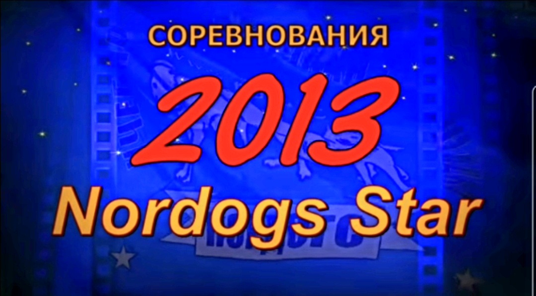 Шоу соревнования "Nordogs Star 2013"