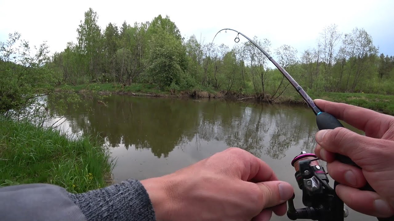 Наконец-то открыл сезон рыбалки на спиннинг! Непередаваемые ощущения! Рыбалка на малой лесной реке!