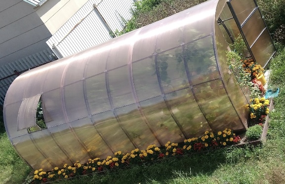 Готовим теплицу к сезону. Какие средства использовать?