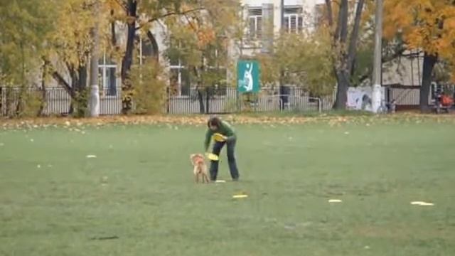 показательные на фестивале фристайл Аля и Ирвин.mp4