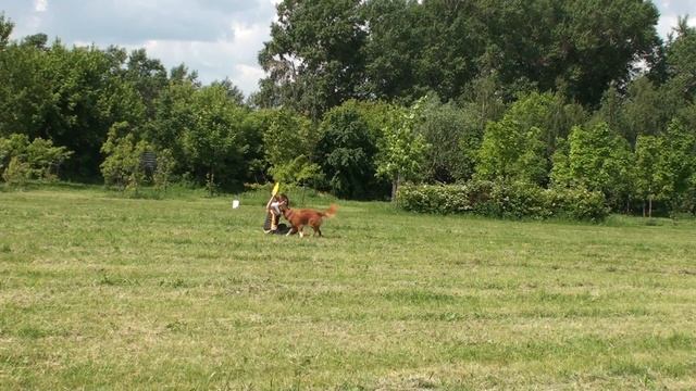 Захватывающие диски Софья и Венди.mp4