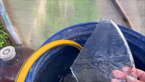 Как Томаты и Огурцы перенесли заморозки!