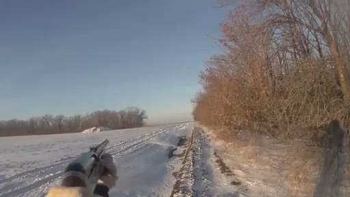 Охота на зайцев загоном - Дальний выстрел