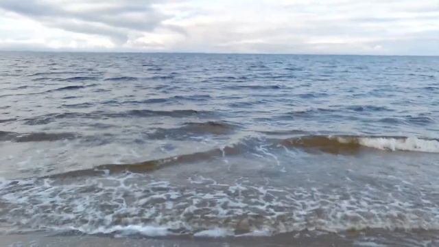 Ура Свадьба! Развод. Итоги брака - Раздел квартиры. Реальное дело!