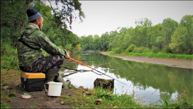 С поплавочкой на лесной речке #fishingholidays #рыбалка #поплавок