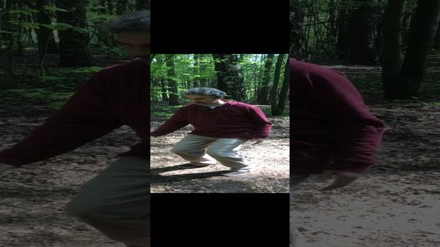 "Коромысло" - Цигун Иньян-1