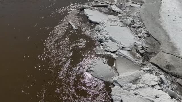 Весна. Плющиха. Кустовой