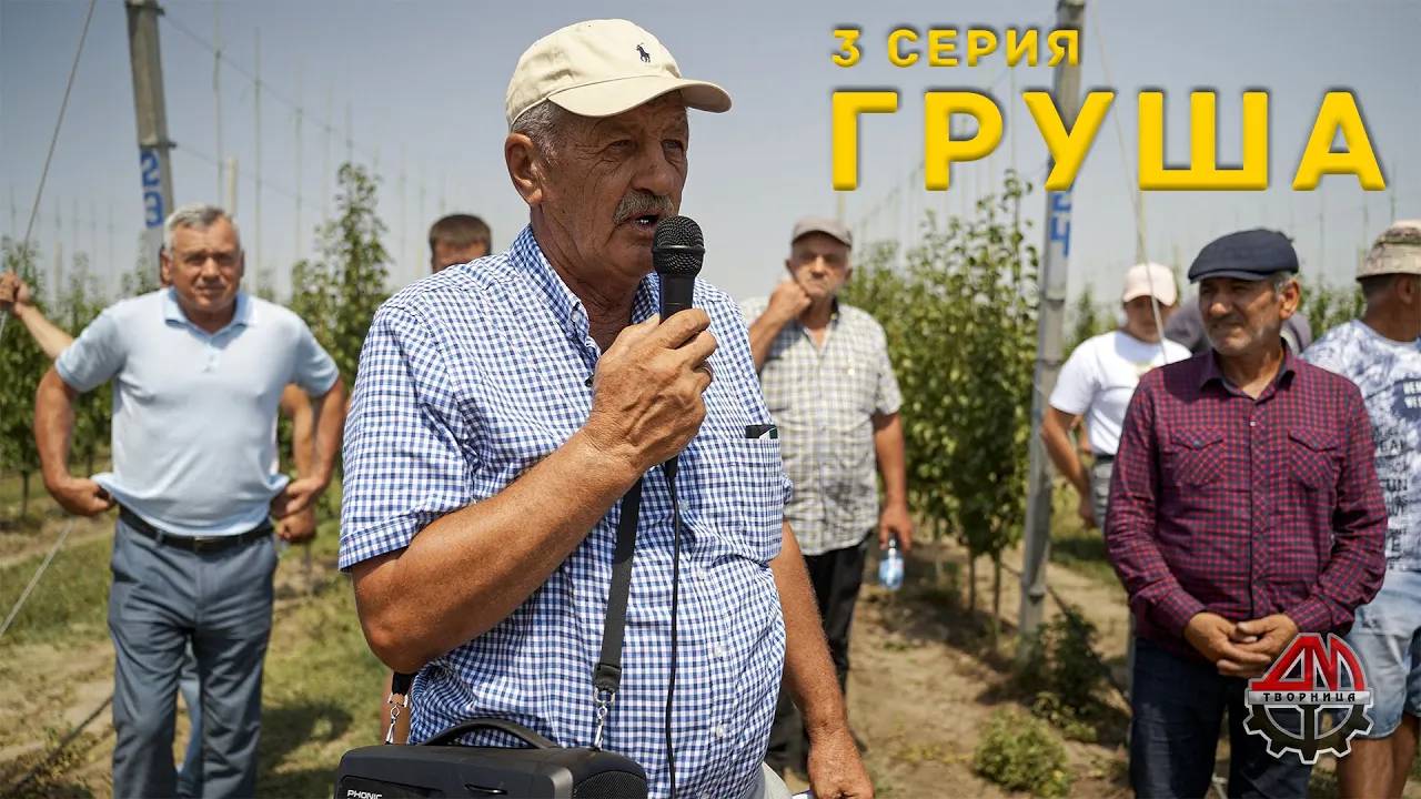 Груша, вкусная и выгодная культура. Семинар с.Малакановское, серия 3