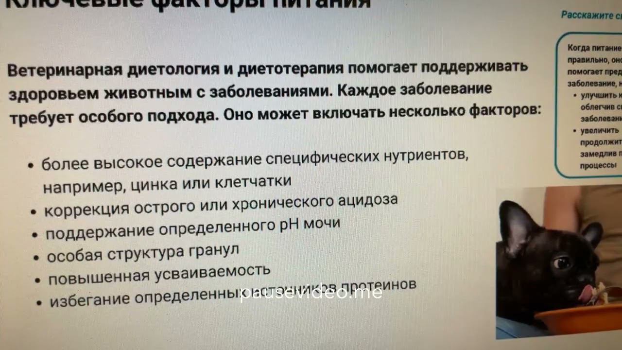 Основы диетологии - белок.