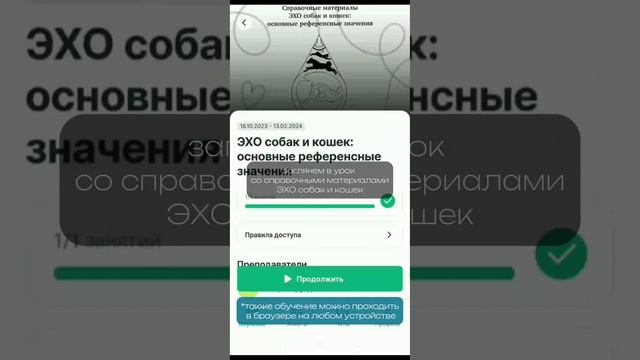 Как выглядит личный кабинет курса |Курсы для ветврачей