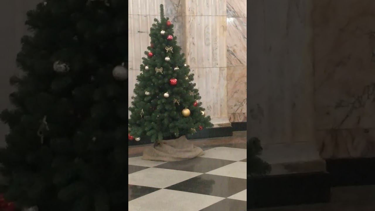 2023.01.28 Москва. Музыка в метро. На станции Таганская-кольцевая