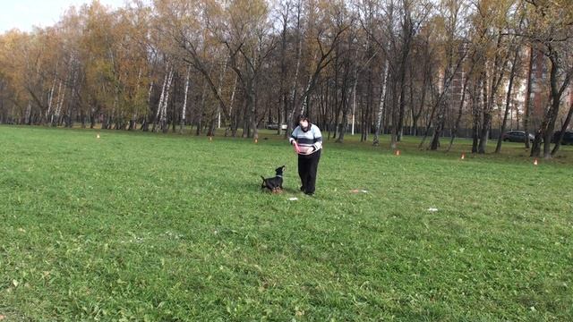 Елизавета и Цири - фризби-фристайл.mp4