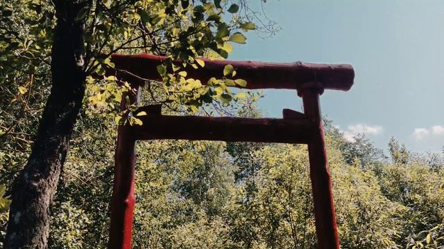 Киржач, Восточный  мост?, Александровский сад, прогулка с родственниками.