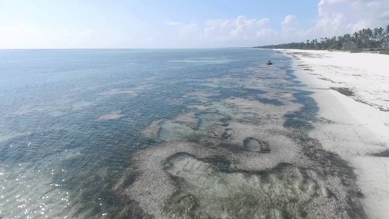 Африка. Детишки Занзибара