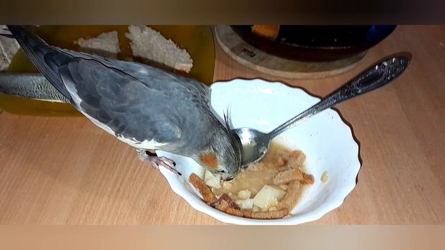 Кушаем картофан