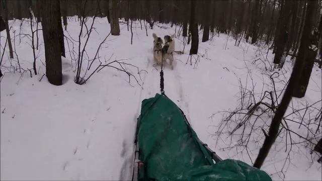 300-я, грузовая нарта тобогган