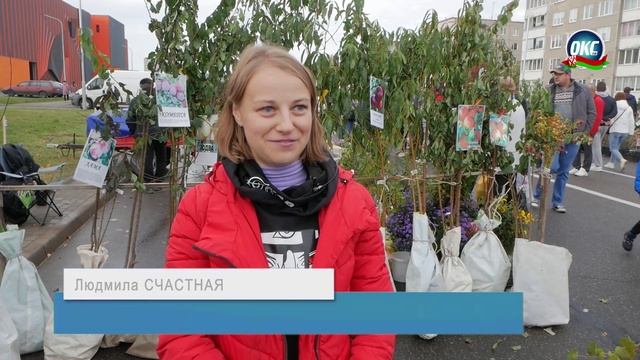 События 17 октября 2023 года / Генеалогическое древо / День матери / Ярмарка / Новости