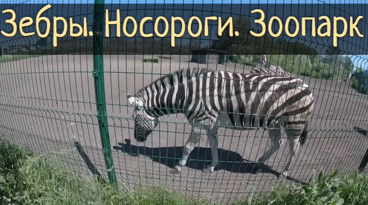 Старооскольский зоопарк. Носороги. Жираф / Субботние Путешествия