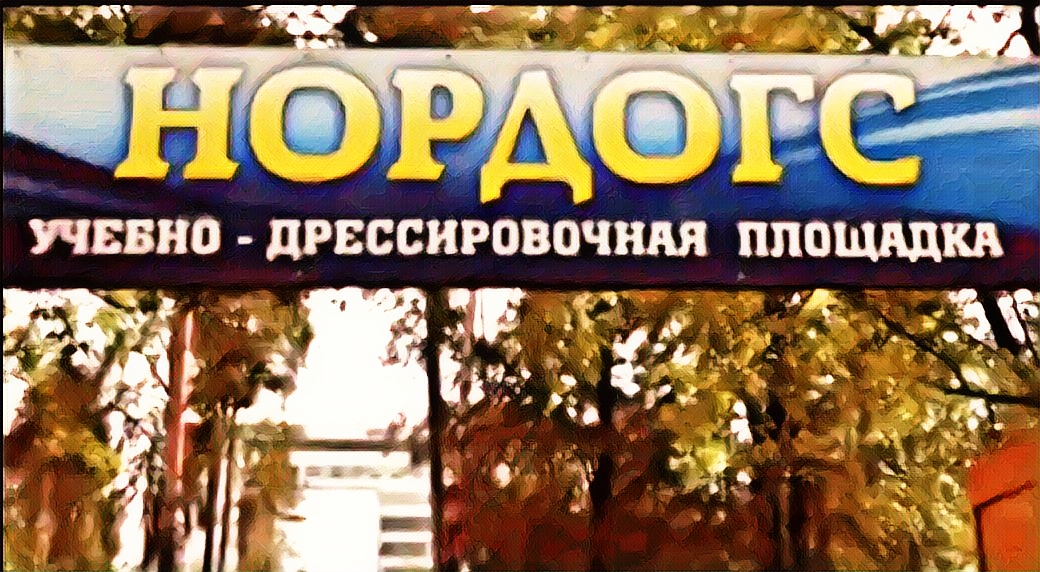 Занятия по ОКД  в группе.