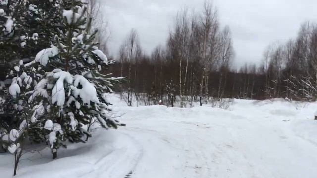 Деревня Сокольники Дмитровского района принимает нас с дружеским визитом