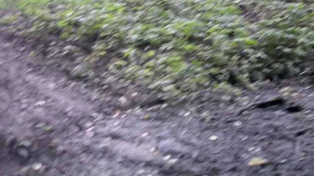 Кунцевское городище. Древние находки