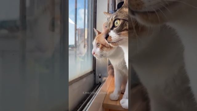 Мы с коллегами после 30 минут на работе.