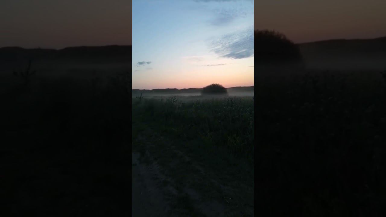 Перед рассветом. Еду на рыбалку.