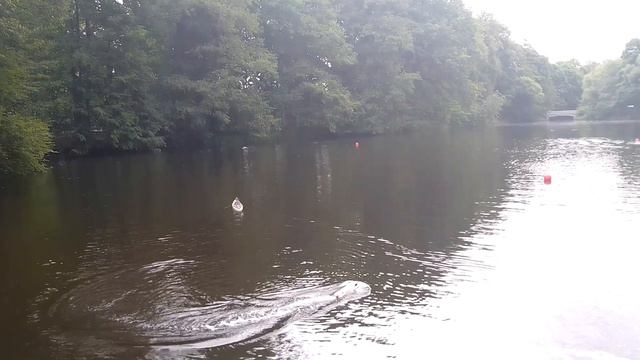 Судомодели в пруду в ЦПКО