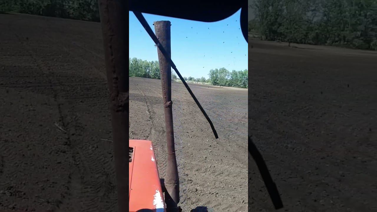 Окончание посева арбуза суходол