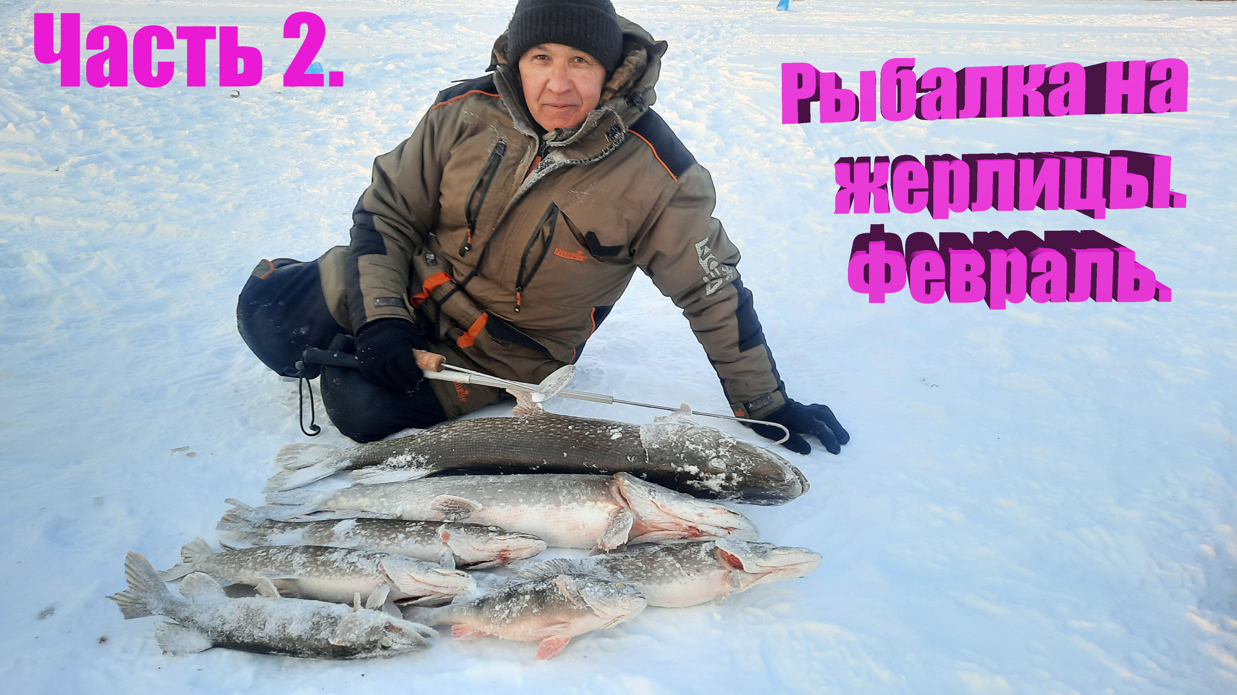 Щука на жерлицы. Февраль. Часть 2