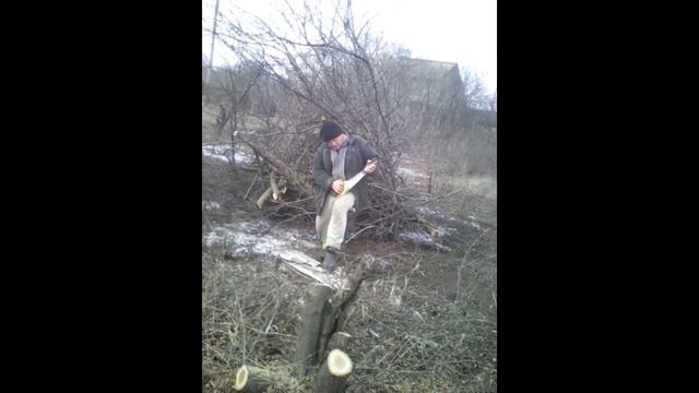 На Уборке Участка. Будущему Винограднику Посвящается !)) _