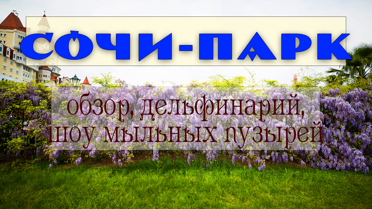 Сочи парк: Говорушка, дельфинарий, мыльные пузыри.