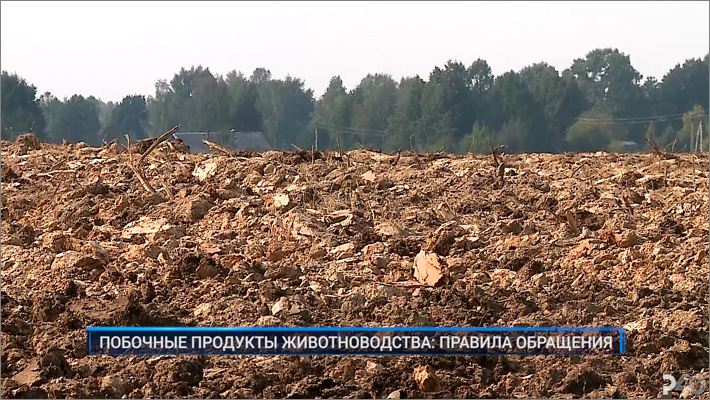 (Рыбинск-40) ПОБОЧНЫЕ ПРОДУКТЫ ЖИВОТНОВОДСТВА: ПРАВИЛА ОБРАЩЕНИЯ