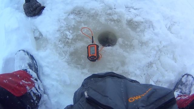 Судак со льда на Волге. Ловля судака на банан. Съёмка подводной камерой..mp4