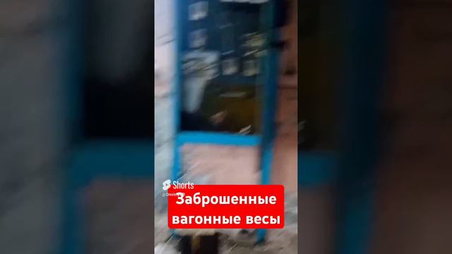 заброшенные вагонные весы #railway #железнаядорога #train #поездавидео #поезд.mp4