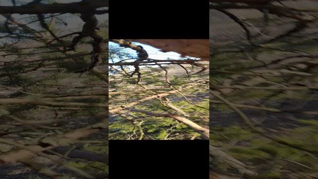 наша схема поломалась