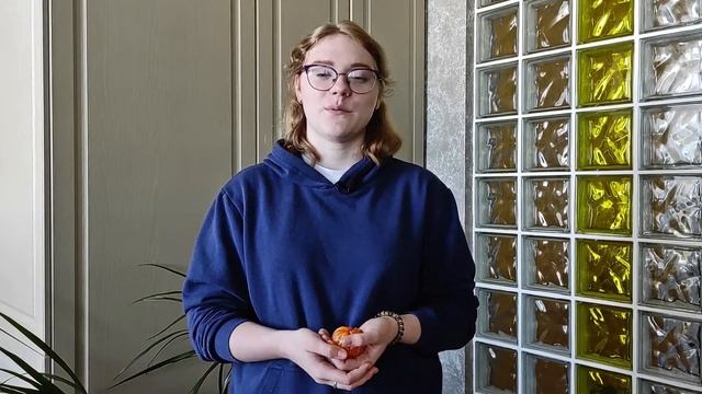 Новые возможности в СПбГАУ