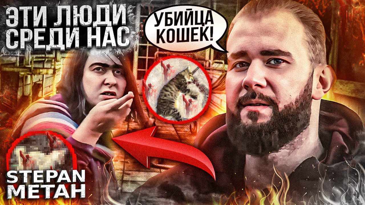 Расследование "она душит котят". Правда или ложь?