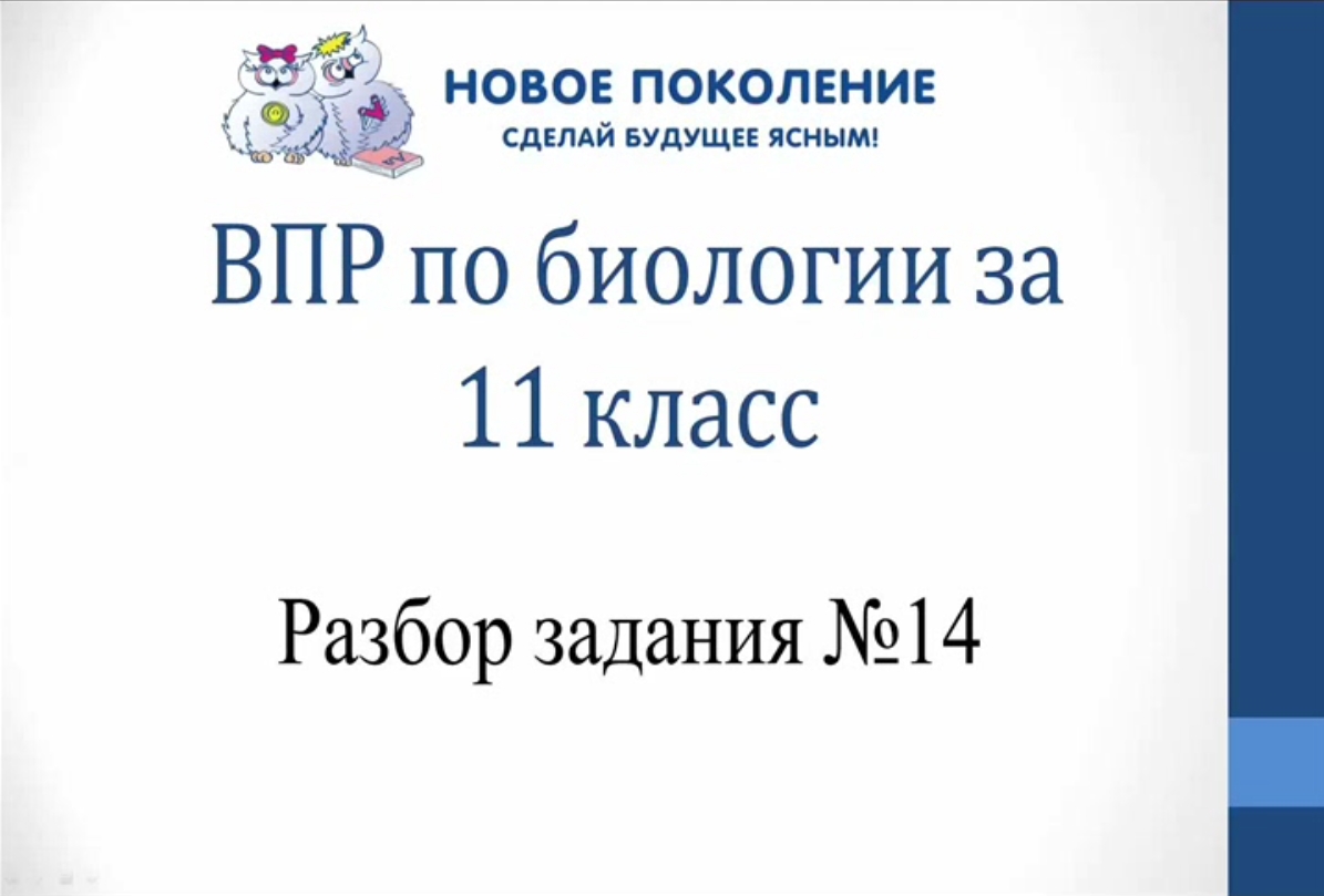 Биология. Разбор 14-го задания ВПР по биологии 11 класс