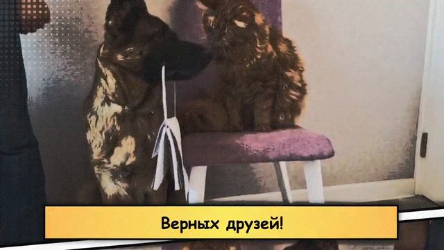 Игорь Витальевич С Днем Рождения!
