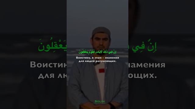 Сура 16 «ан-Нахль» [Сиратулло Раупов]