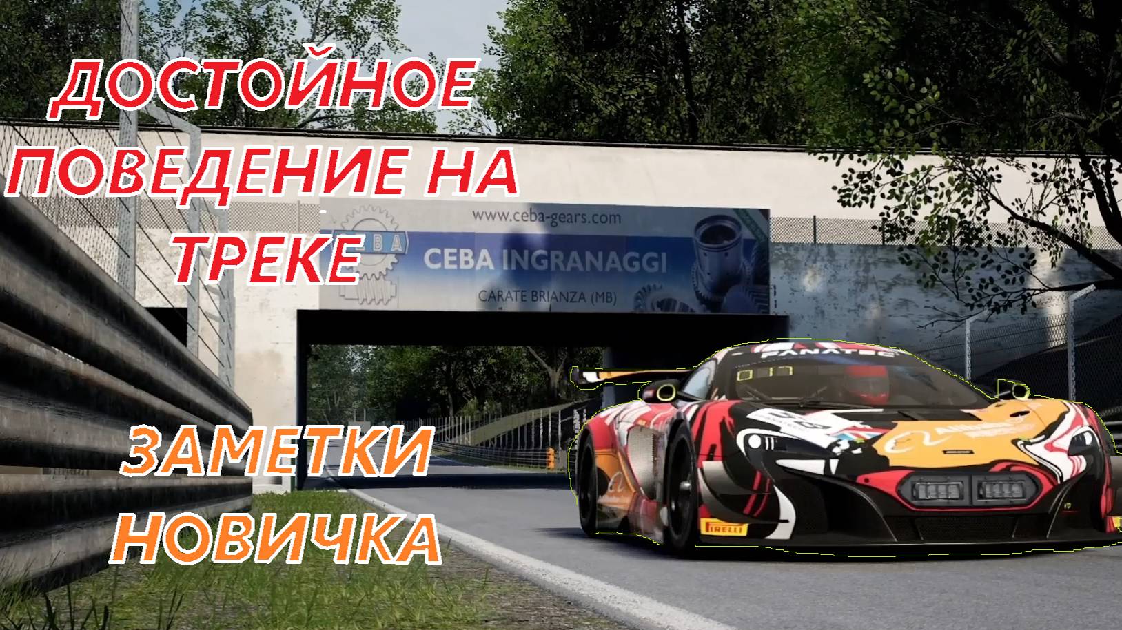 Assetto Corsa Competizione - Как себя вести, если ты в первый раз. Рассуждаем за поведение в асс .