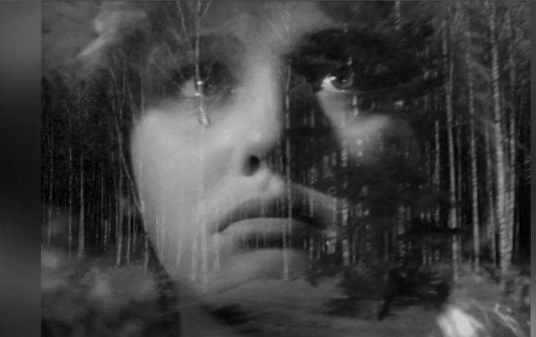 Жди меня, и я вернусь! Стихи. Авторы текстов Александра Баранова-Сафейкина, Константин Симонов.