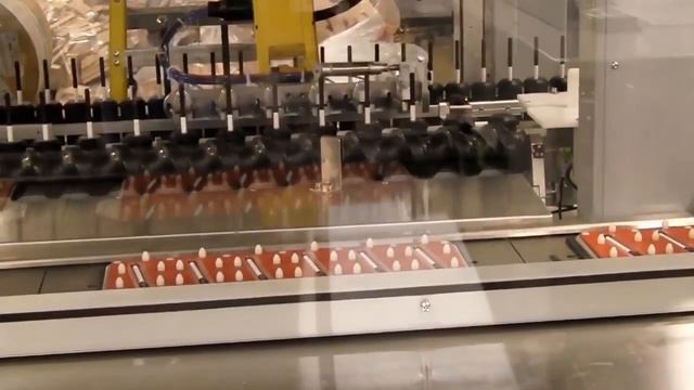 Упаковка в блистеры при помощи роботов FANUC.mp4