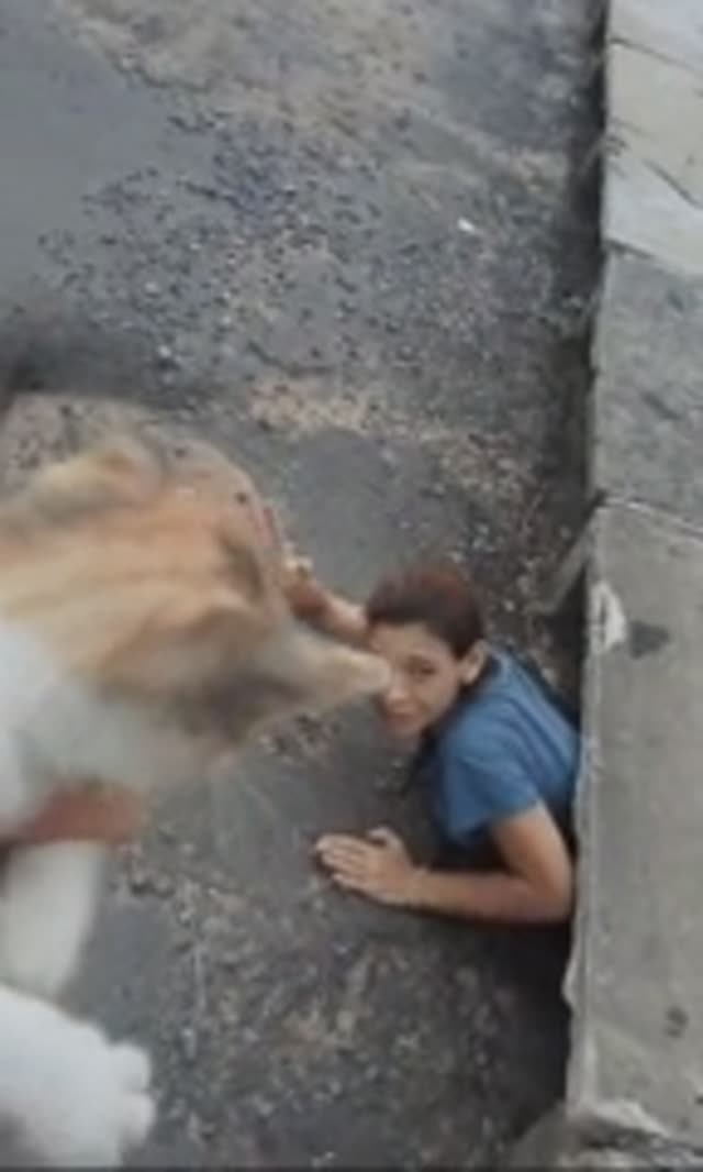 Достала киску