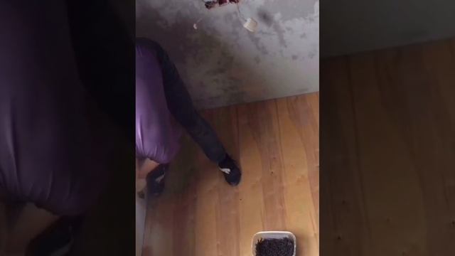 Выравнивание деревянного Пола фанерой